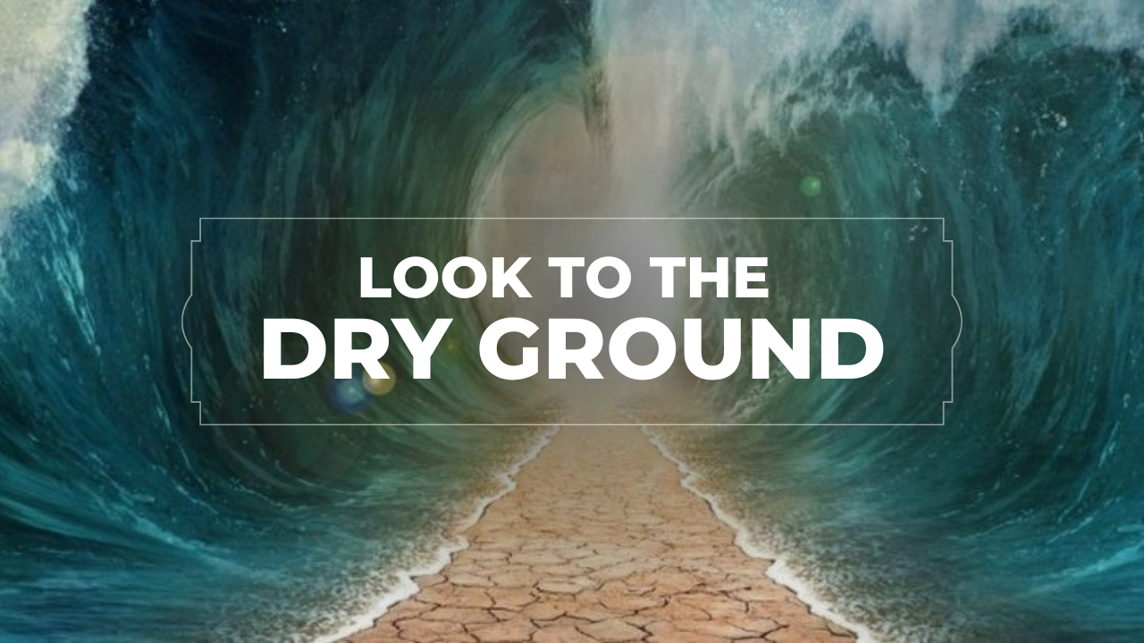 Look to the Dry Ground - Ryan Johnson Ministries