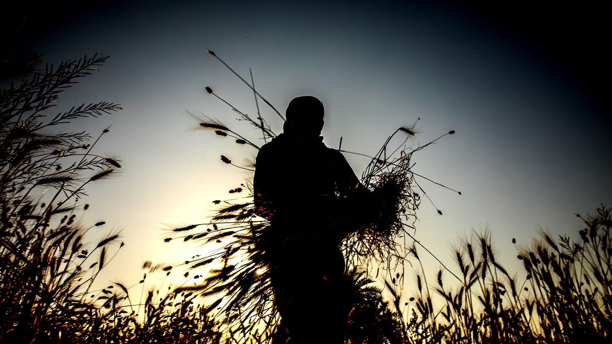 Shaking Off the Dry Season - Ryan Johnson Ministries